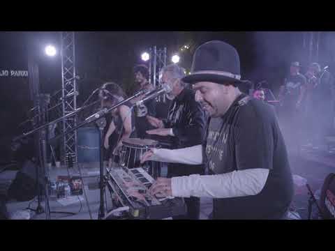 Top 20 Music Festivals in Arizona in 2022 | AZ Festival Guide