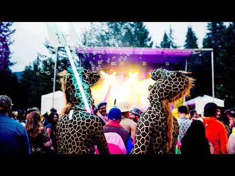 Top 15 Music Festivals in Washington To Keep You Dancing All Year [2020]