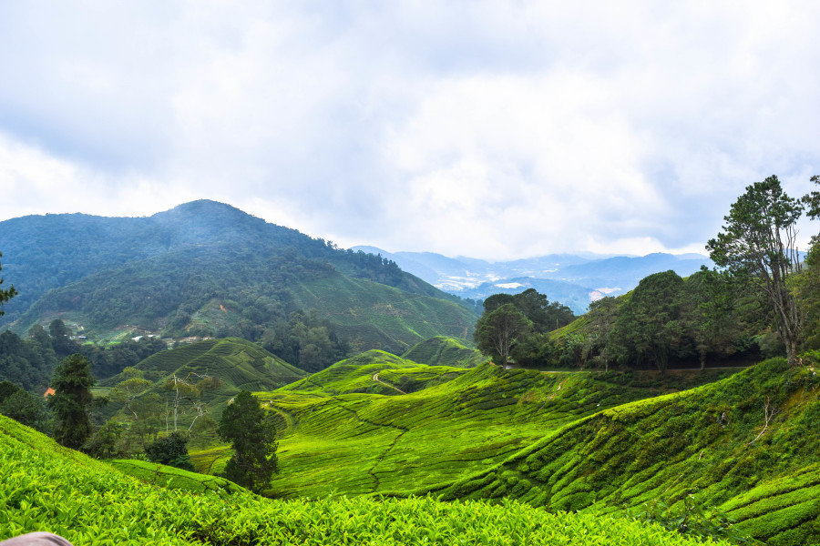 10 Fun & Awesome Things To Do In Malaysia - Jones Around The World