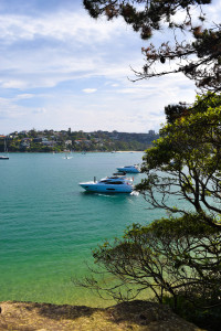 The Manly Wharf - Spit Bridge Coastal Walk (Photo Essay)