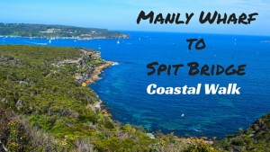 The Manly Wharf - Spit Bridge Coastal Walk (Photo Essay)