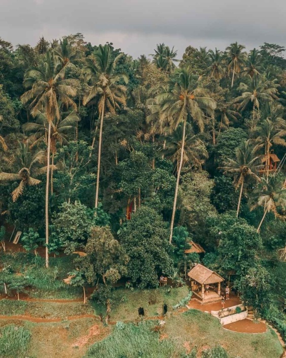 The Ultimate Ubud Itinerary | 3 Days in Bali’s Hidden Paradise