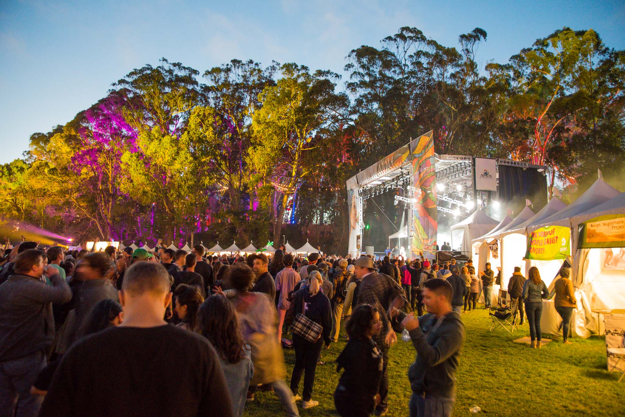 Outside Lands Music Festival: The Ultimate Golden Gate Park Party