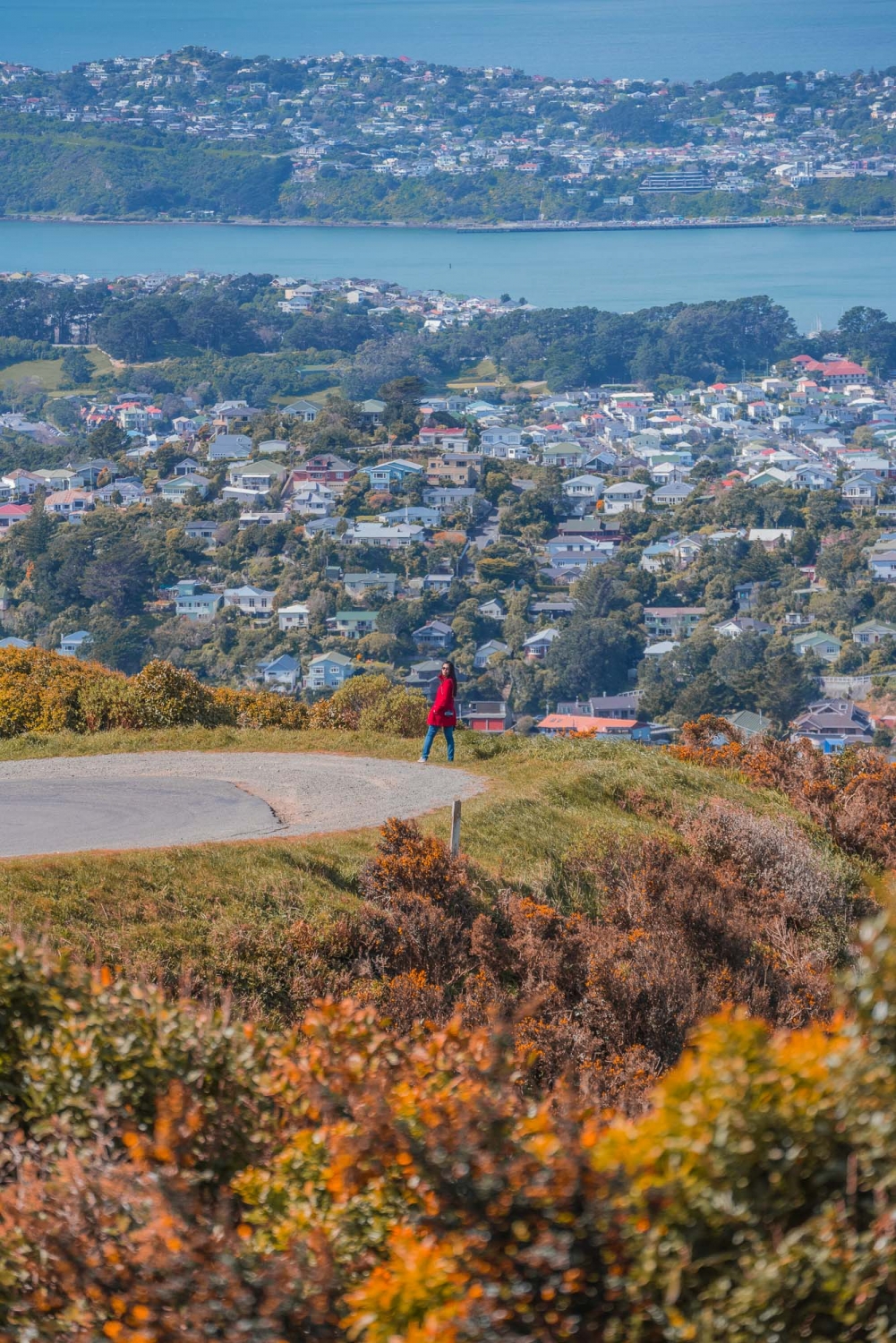 The Perfect Wellington Day Trip For Wine and Photography Lovers