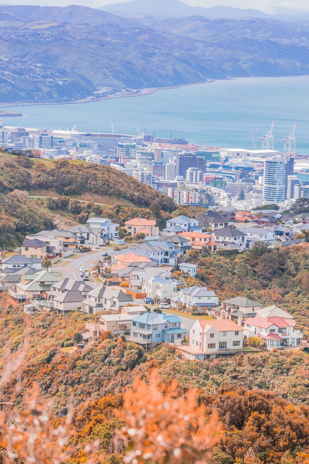 The Perfect Wellington Day Trip For Wine and Photography Lovers