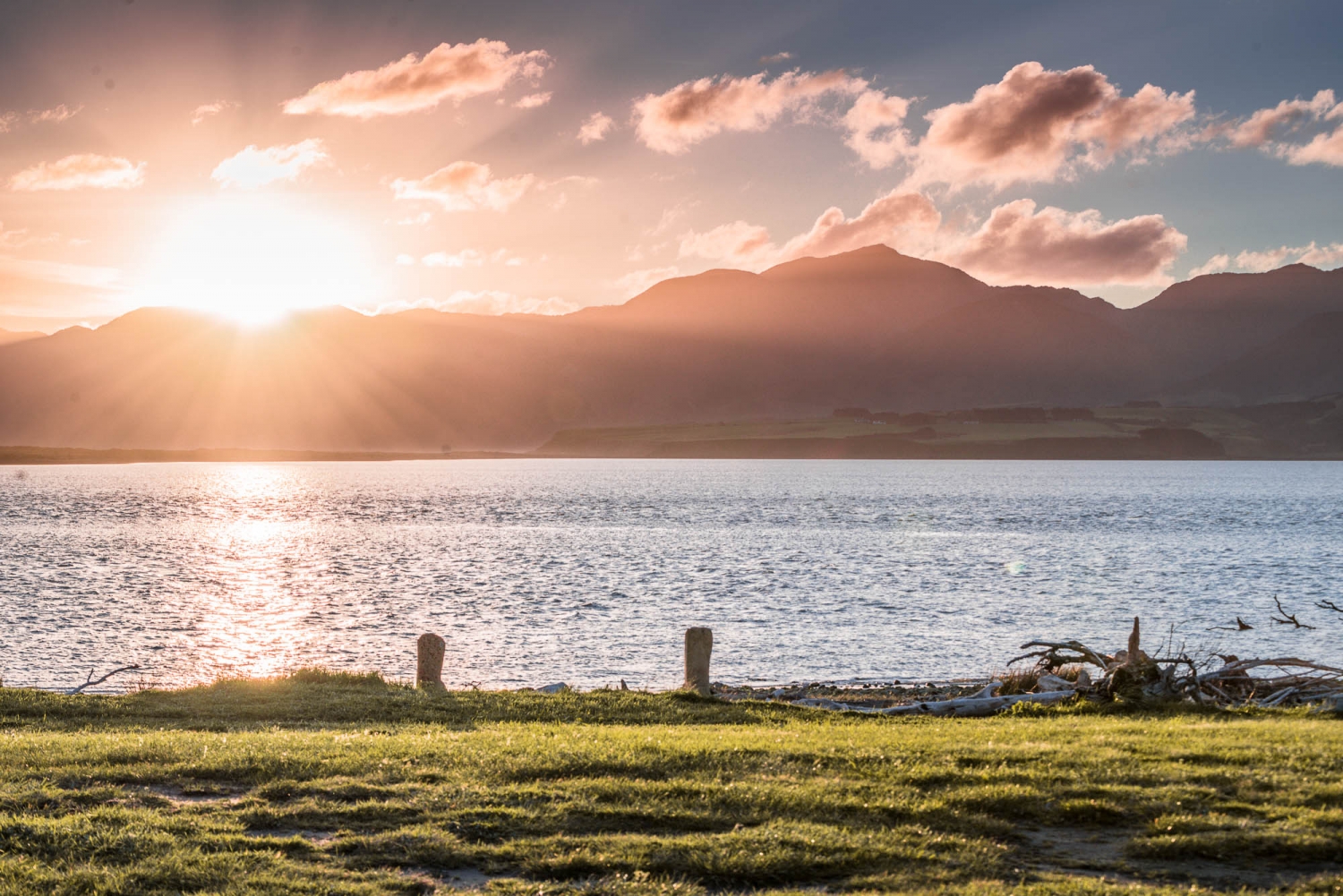 The Perfect Wellington Day Trip For Wine and Photography Lovers