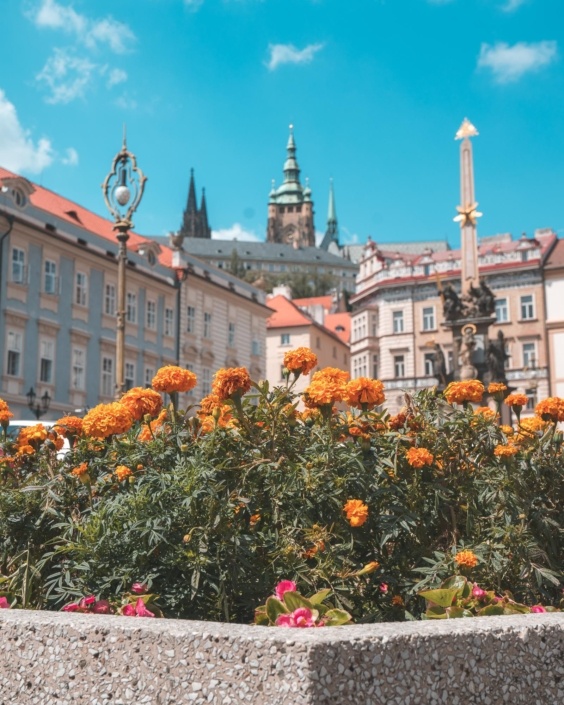 12 Reasons To Explore Europe w/ Busabout Hop-on Hop-off Pass [Review]