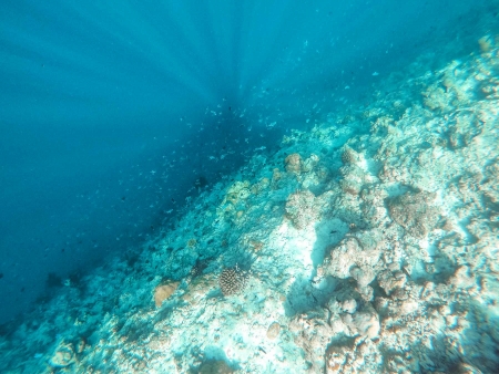 Top 14 Things To Do in Thulusdhoo Island, Maldives