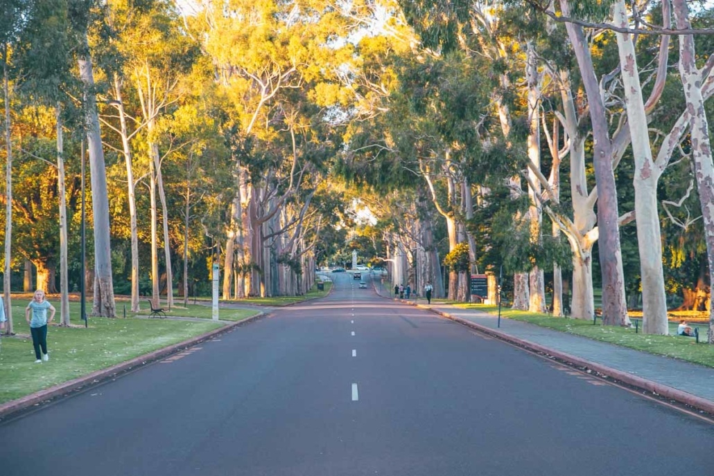 The Ultimate Perth Itinerary | 7 Days in Perth & What to Do (2024)