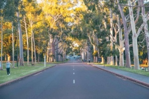 The Ultimate Perth Itinerary | 7 Days in Perth & What to Do (2024)