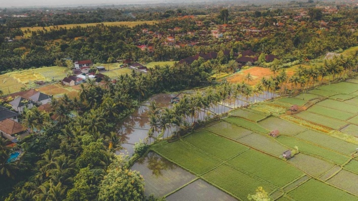 The Ultimate Bali Itinerary: How To Plan The Perfect Trip To Bali