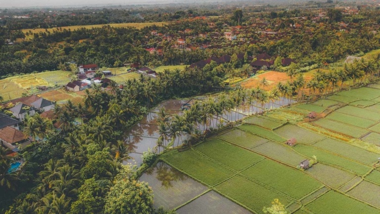 The Ultimate Bali Itinerary: How To Plan The Perfect Trip To Bali