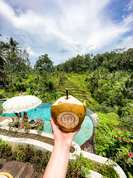 The Ultimate Ubud Itinerary | 3 Days in Bali’s Hidden Paradise