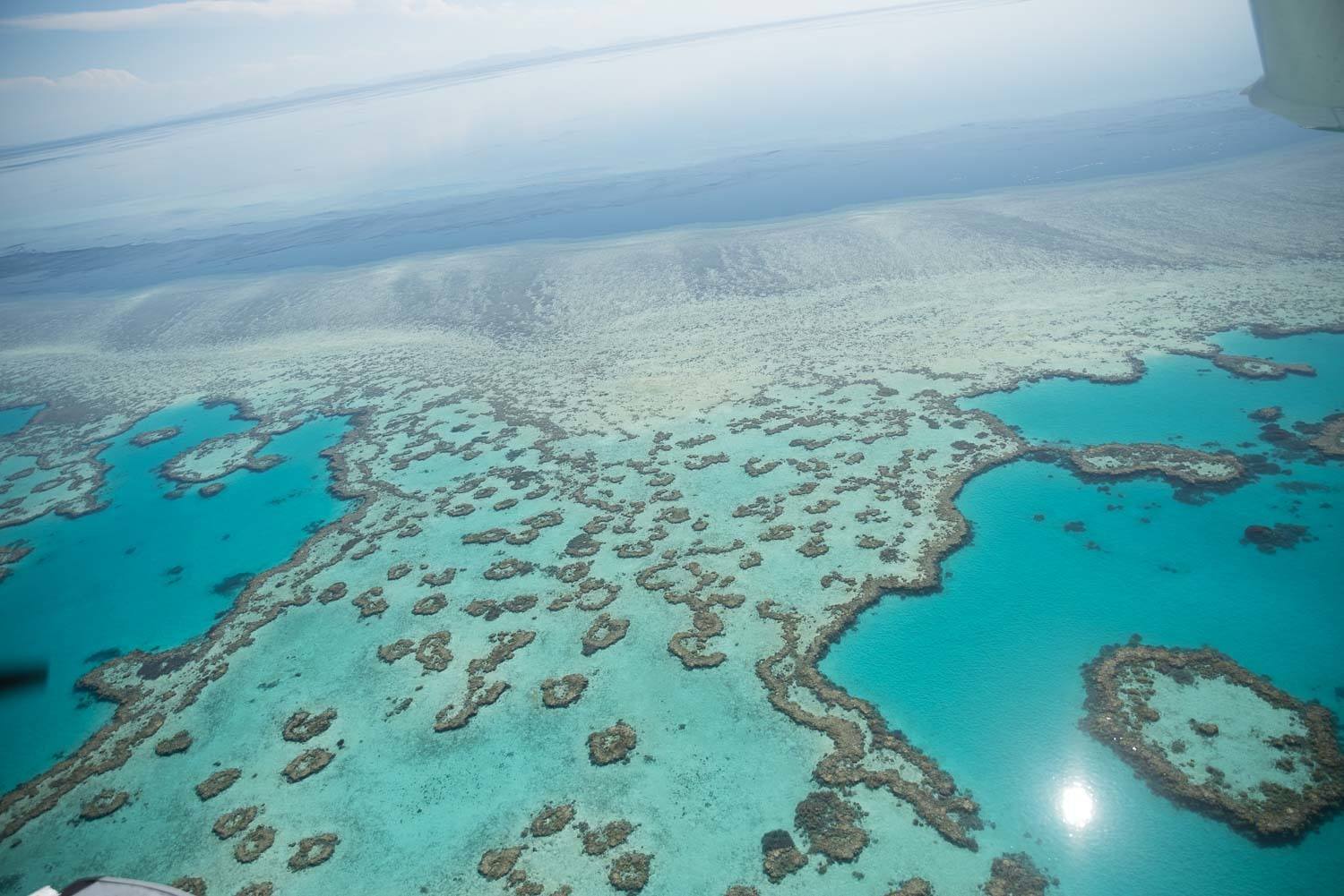 Facts About Australia 80 Fun Interesting Weird Australia Facts Facts About Australia 80 Fun Interesting Weird Australia Facts