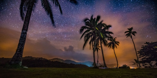 50 Best Explore Quotes To Inspire Your Next Adventure