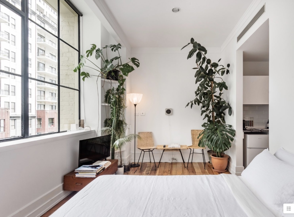 17 Best Airbnbs in Auckland, New Zealand (2021 Edition)