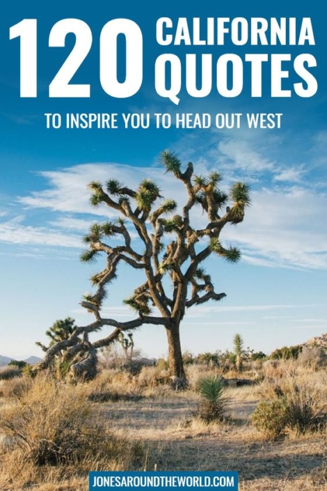 The 120+ BEST California Quotes & Captions To Inspire Your CA Getaway