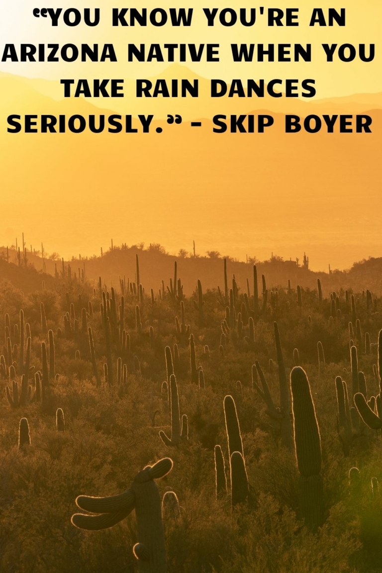 92 Best Arizona Quotes, Sayings & Captions for Instagram