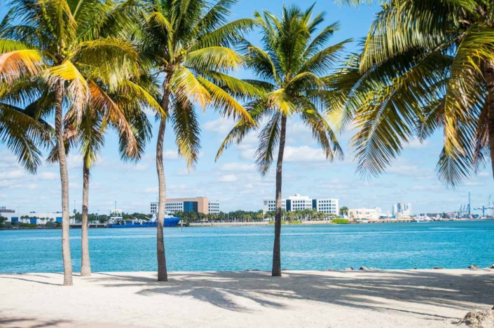 110+ Miami Quotes & Captions To Inspire Your Florida Vacation [2020]