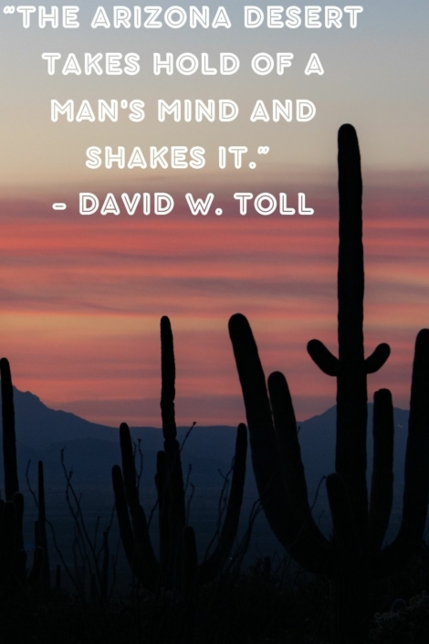 92 Best Arizona Quotes, Sayings & Captions for Instagram