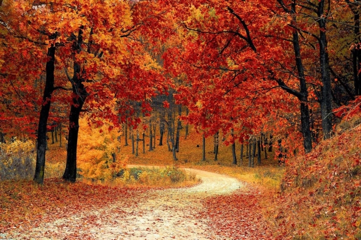 77 Beautiful JOURNEY QUOTES To Inspire Your Next Adventure
