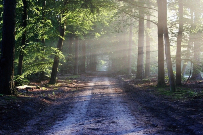 77 Beautiful JOURNEY QUOTES To Inspire Your Next Adventure
