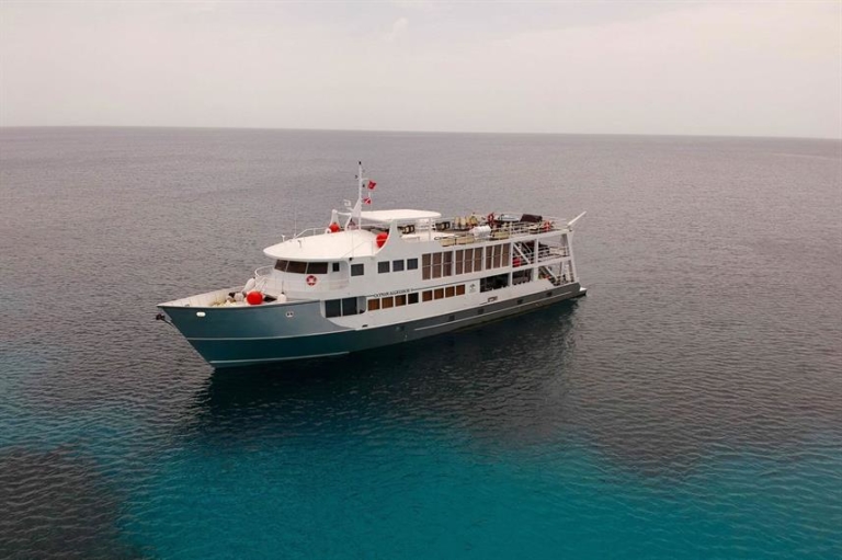 15 Best Liveaboards in the Caribbean: EPIC Scuba-Diving Trips