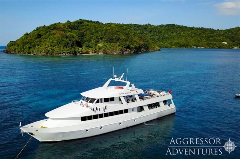 15 Best Liveaboards in the Caribbean: EPIC Scuba-Diving Trips