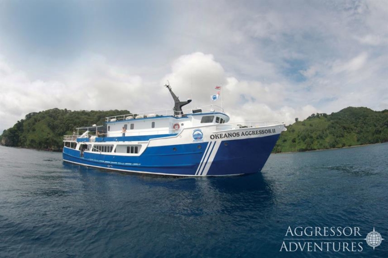 15 Best Liveaboards in the Caribbean: EPIC Scuba-Diving Trips