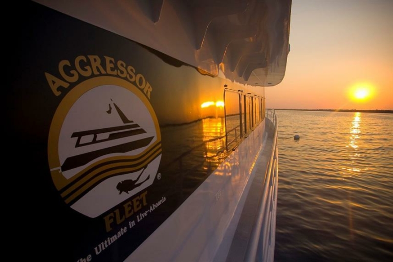 15 Best Liveaboards in the Caribbean: EPIC Scuba-Diving Trips