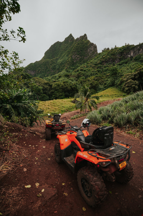 28 Best Things To Do in Moorea, French Polynesia | Moorea Travel Guide