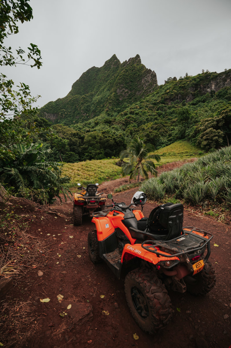 28 Best Things To Do in Moorea, French Polynesia | Moorea Travel Guide