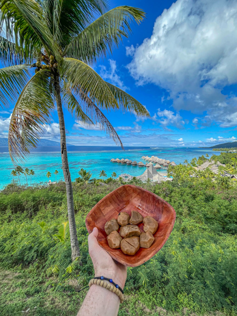 28 Best Things To Do in Moorea, French Polynesia | Moorea Travel Guide