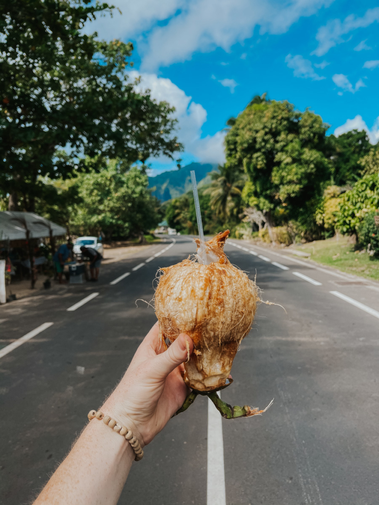 28 Best Things To Do in Moorea, French Polynesia | Moorea Travel Guide