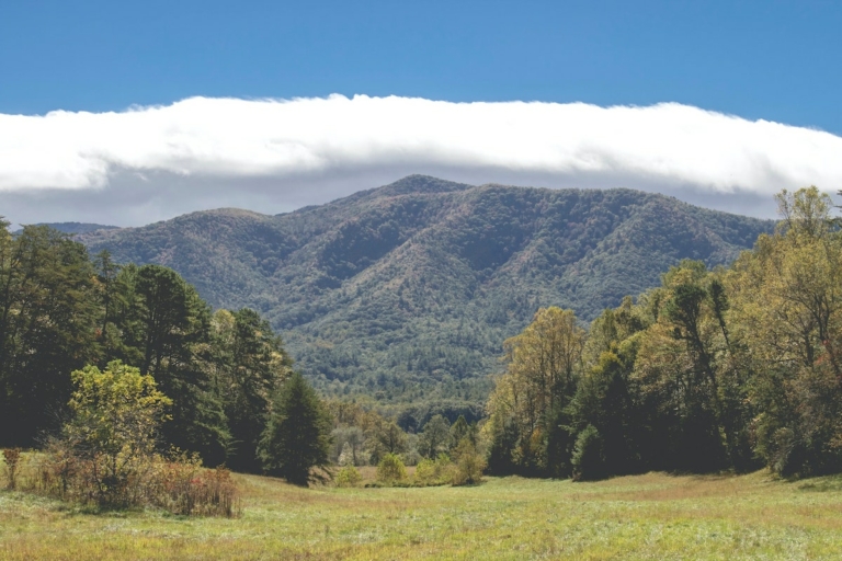 52 Tennessee Quotes, Captions, Slogans, One-Liners and Sayings