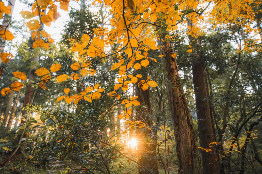 50 Photos To Inspire You Visit the Fukui Prefecture in Japan - Jones ...