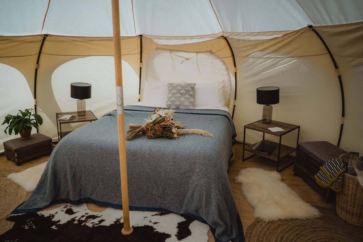 TOP 13 Glamping New Zealand Sites in 2024 - Jones Around The World