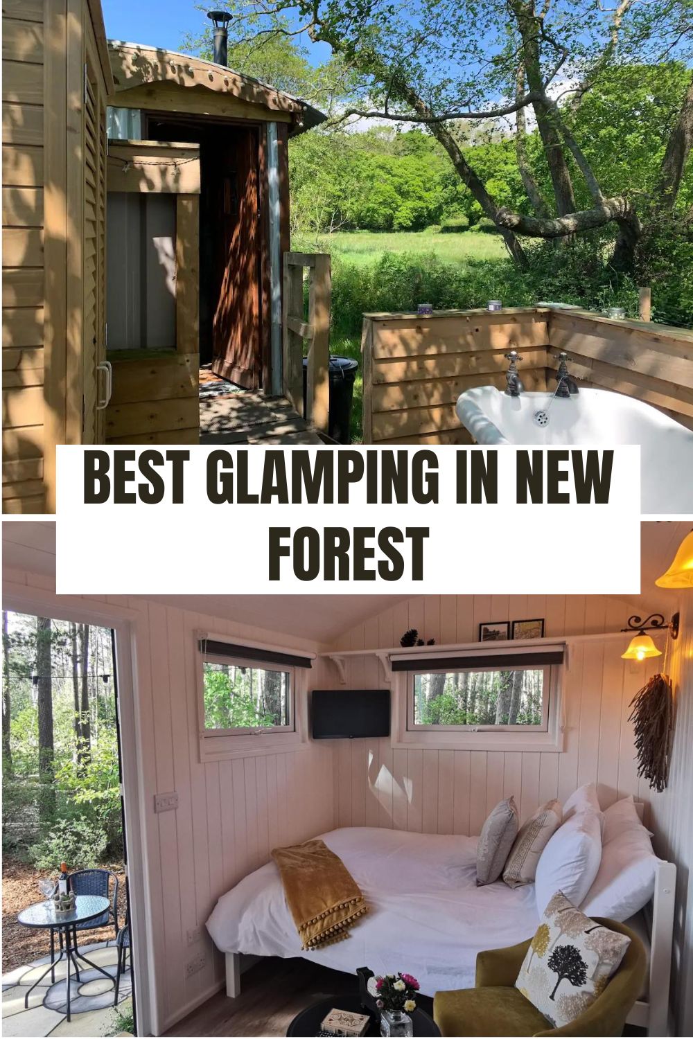 15 Best Glamping Destinations in New Forest, UK